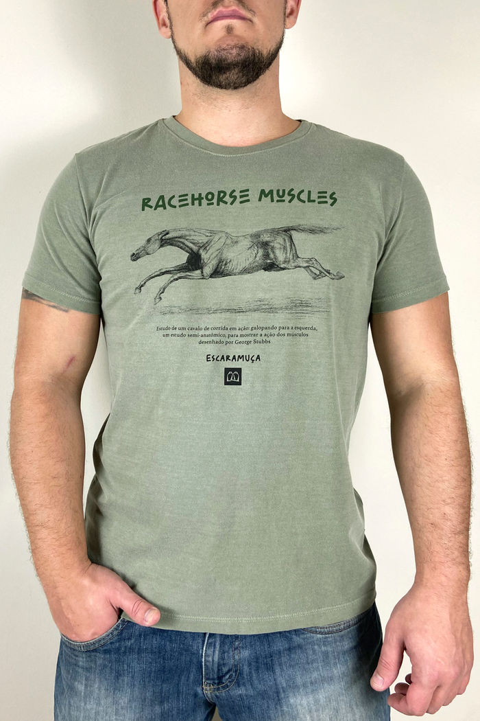 Masculino - Escaramuça