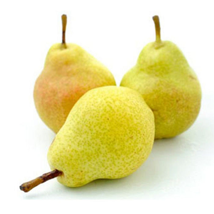 Cem Por Cento Orgânicos