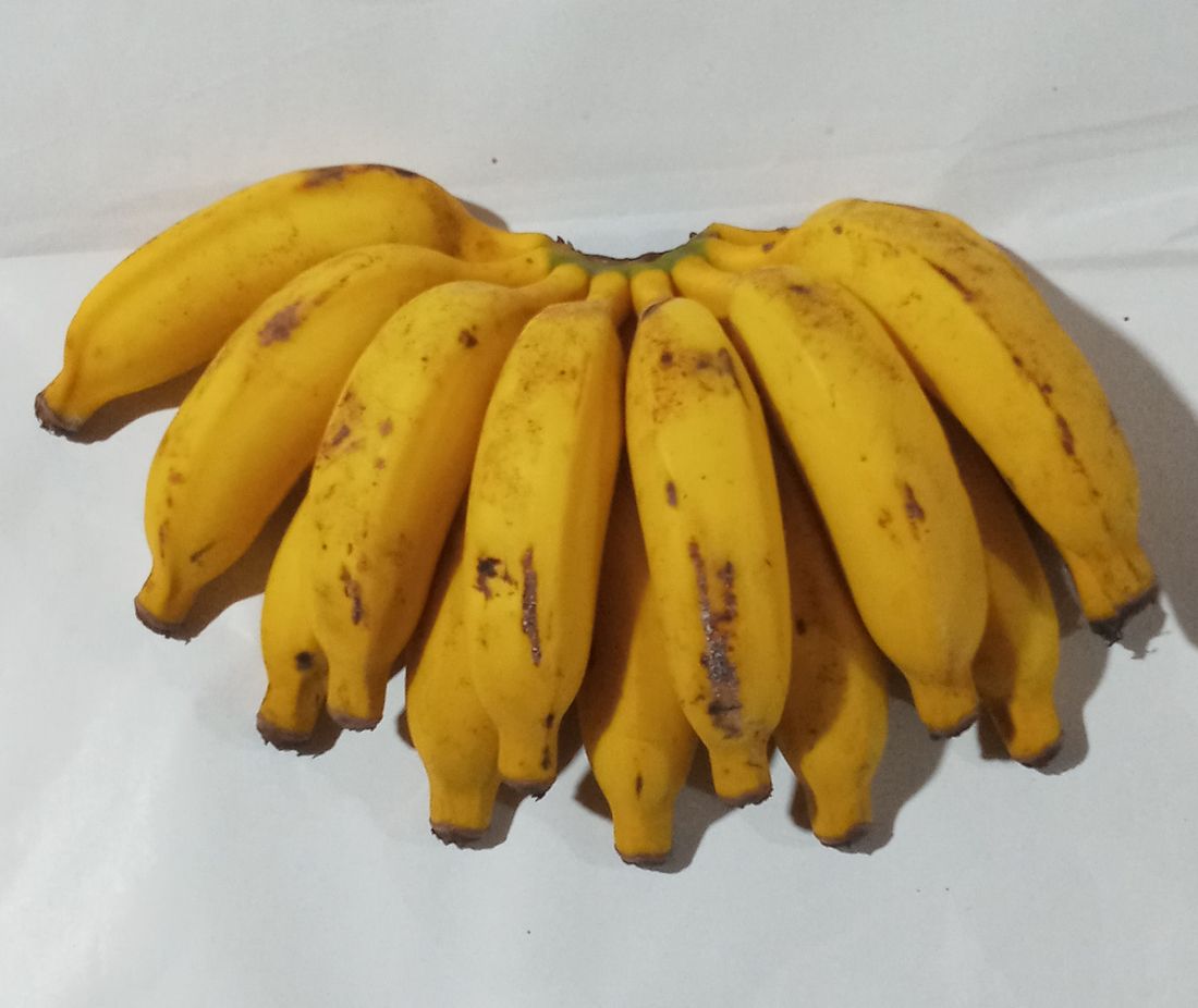 Banana 1kg Confraria Dos Orgânicos - Loja Virtual