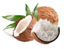 Coco Ralado Congelado (pct 250 g) Raiz de Sol - Loja Virtual