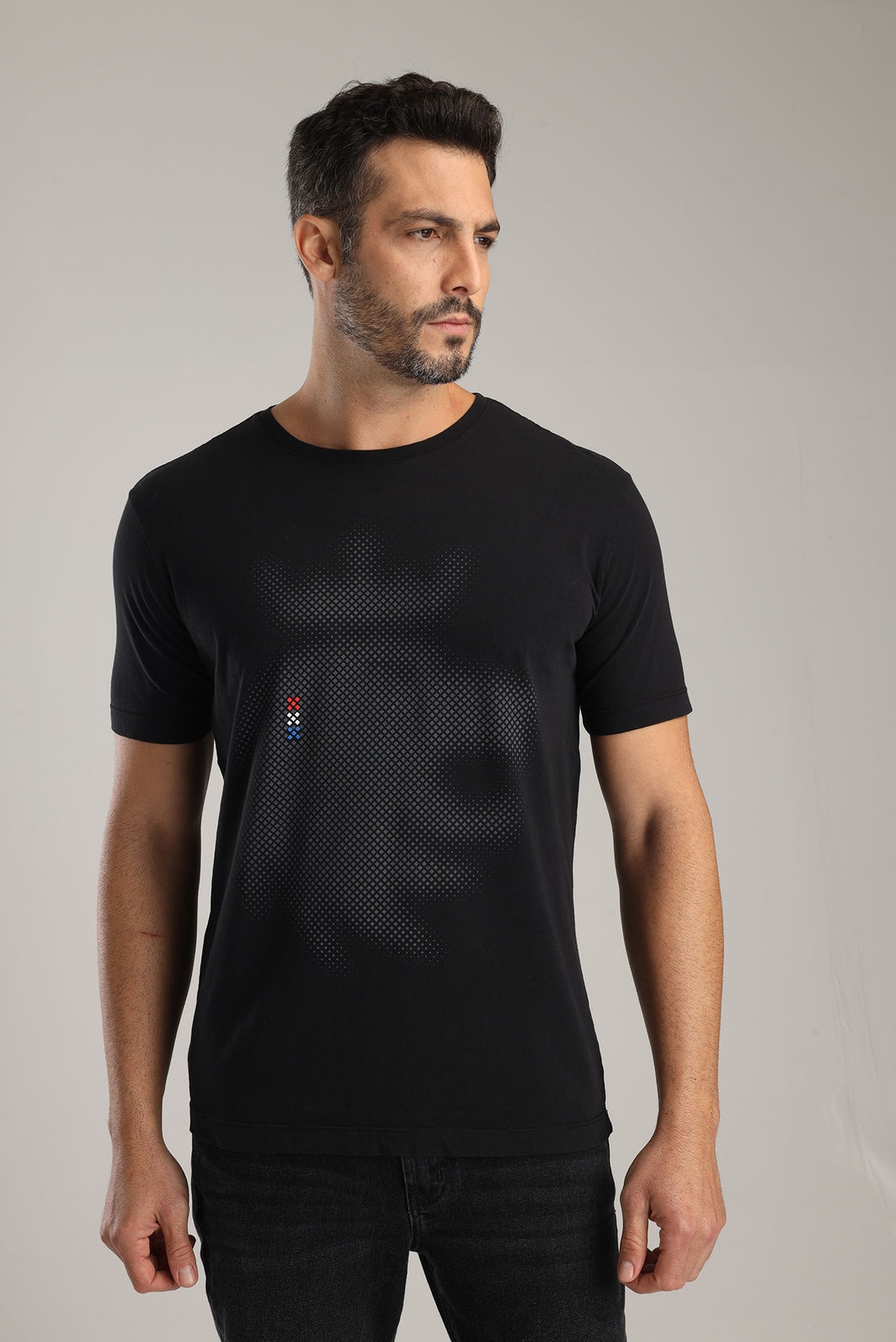 Camiseta Von der Völke Lion Flag.